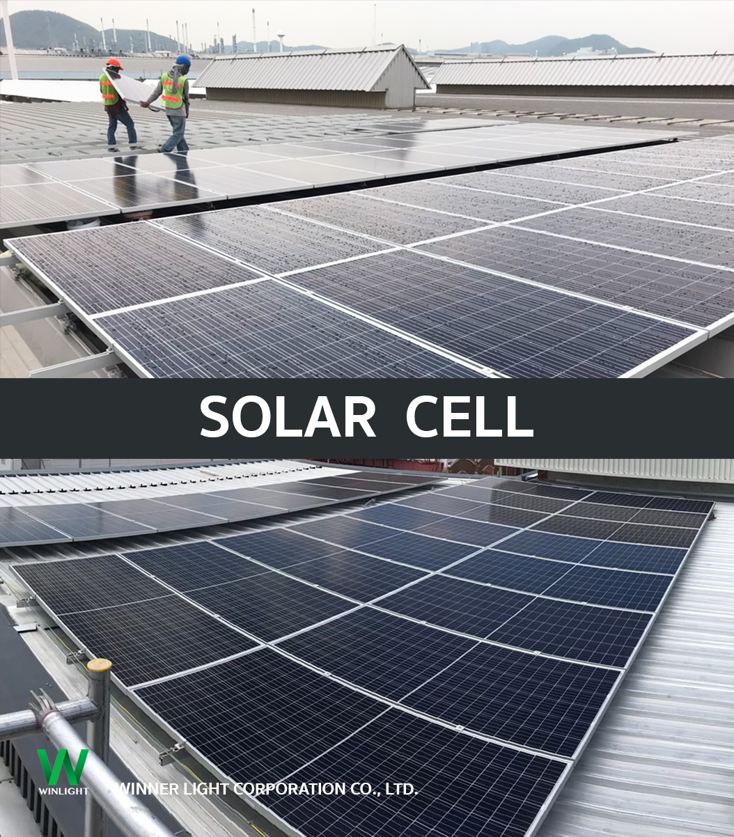SOLAR CELL | Winner Light