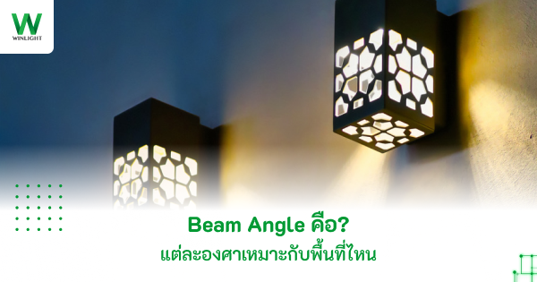 Beam Angle คือ? แต่ละองศาเหมาะกับพื้นที่ไหน | Winner Light